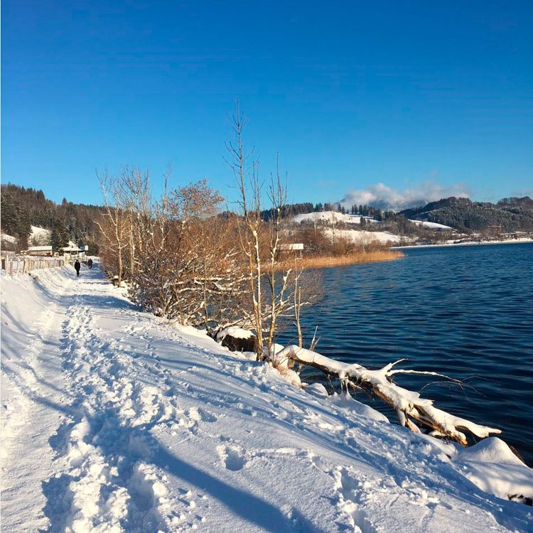 Fereinwohnung Lang Alpsee Immenstadt Bühl